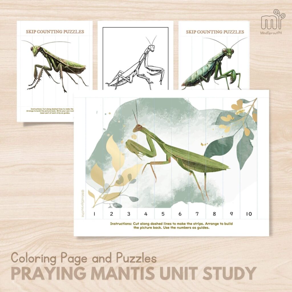 Praying Mantis Unit Study for ages 3-9