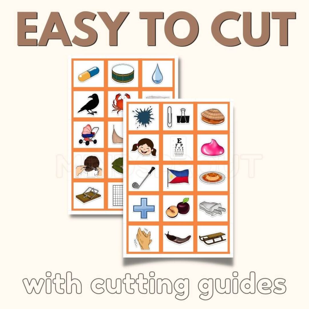 Stage 2: Consonant Blends Phonetic Reading Picture Cards