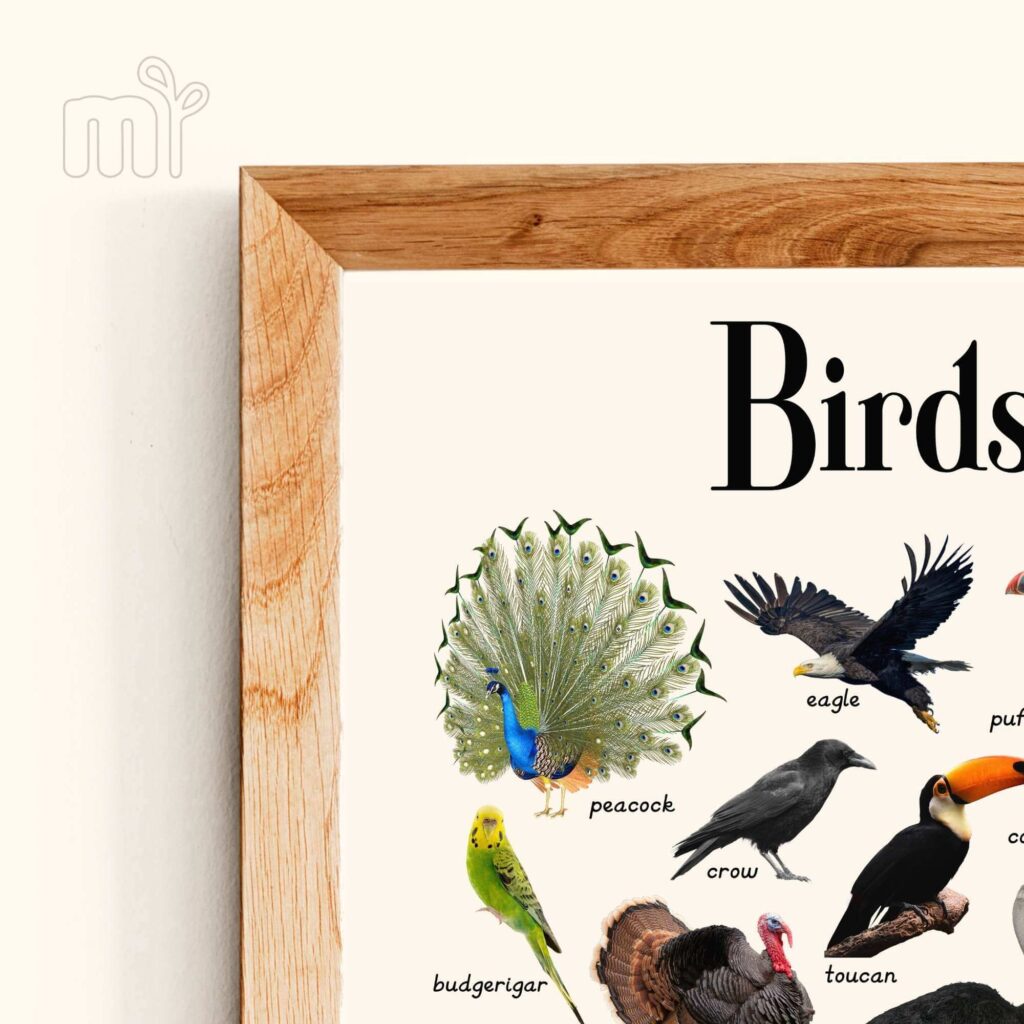Birds Printable Poster