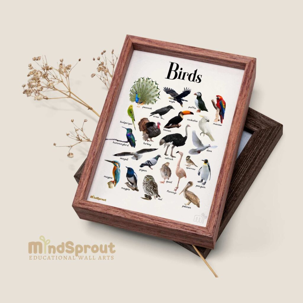 Birds Printable Poster