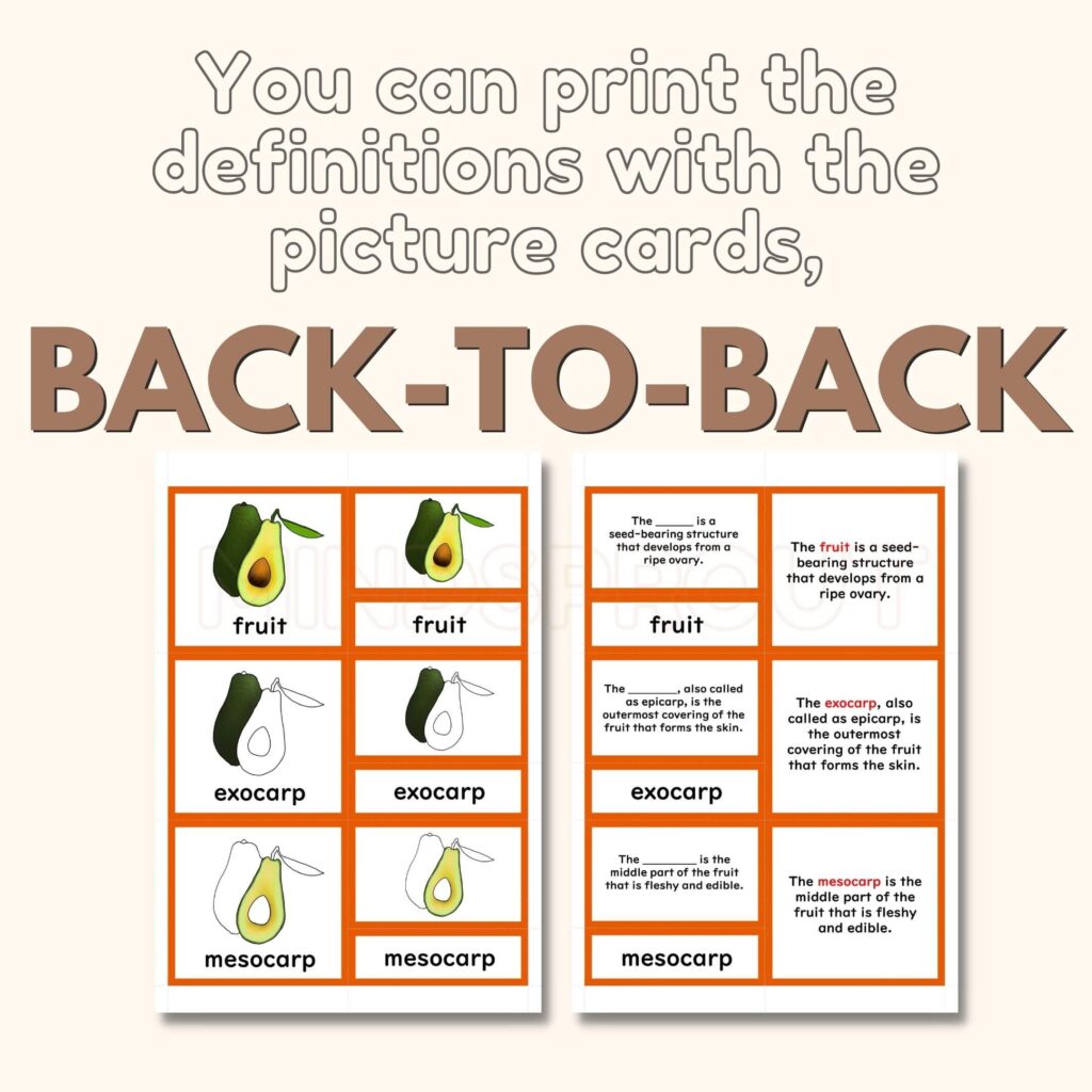 Parts of the Fruit 5-Part Cards & Booklets