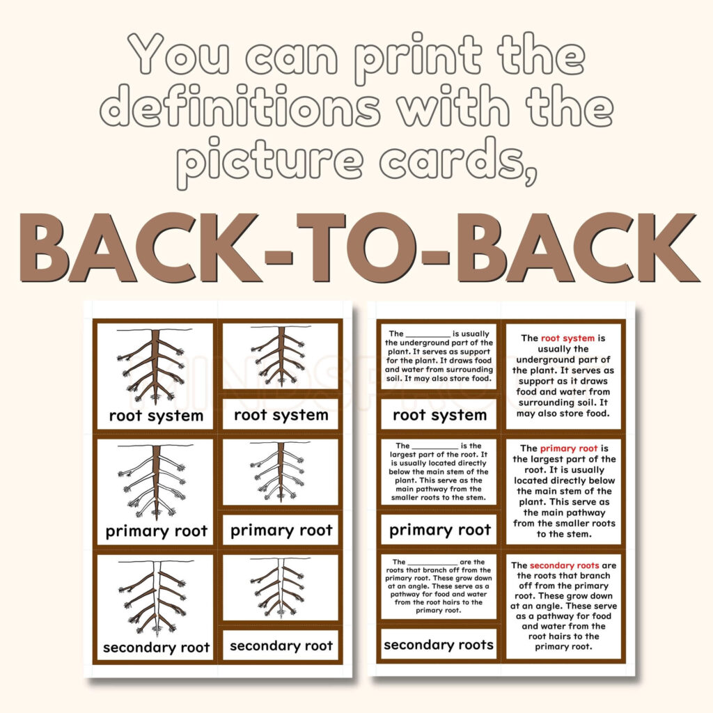 Parts of the Roots 5-Part Cards & Booklets