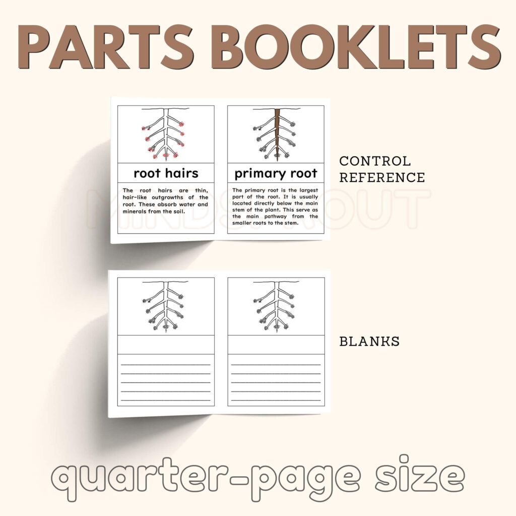 Parts of the Roots 5-Part Cards & Booklets
