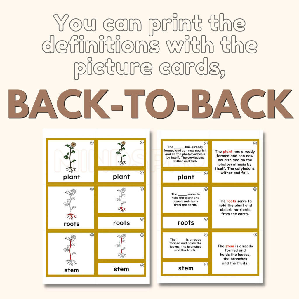 Plant Life Cycle with Parts 5-Part Cards & Booklets