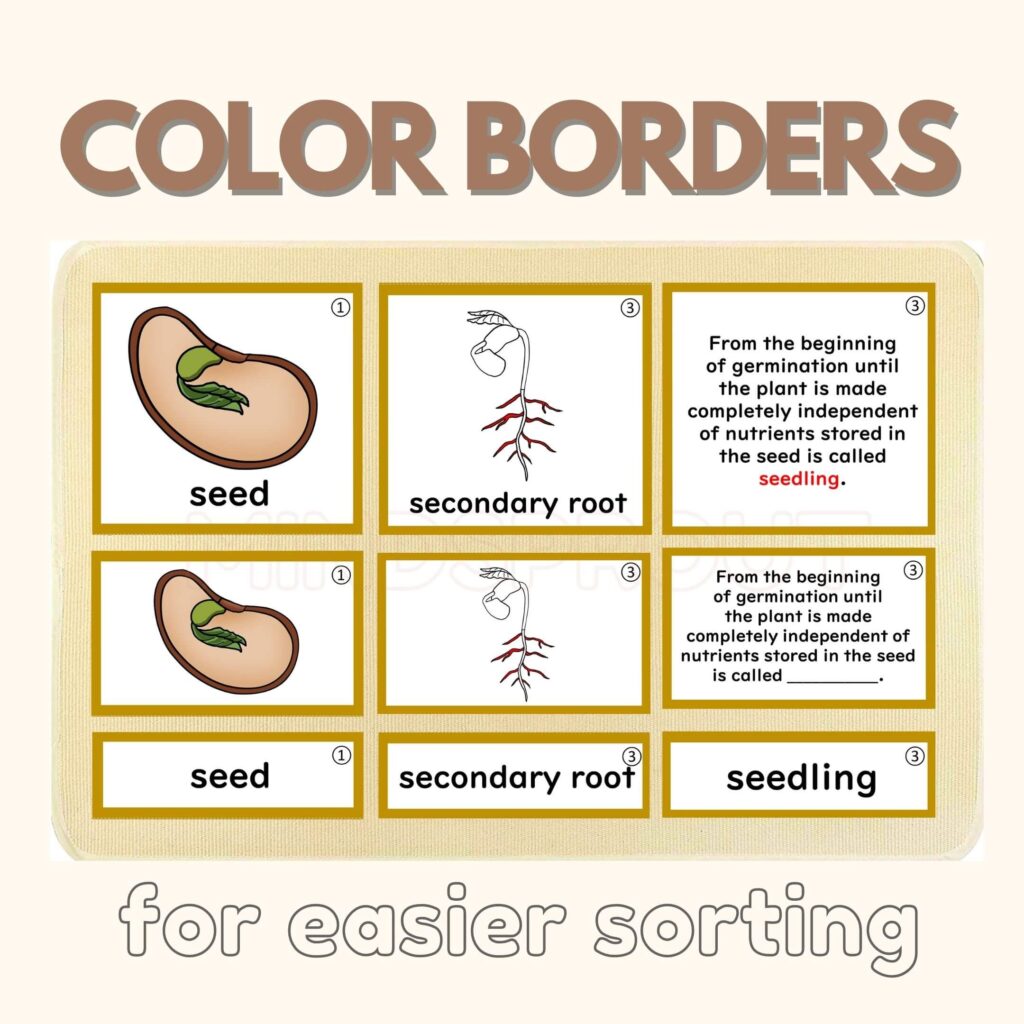Plant Life Cycle with Parts 5-Part Cards & Booklets