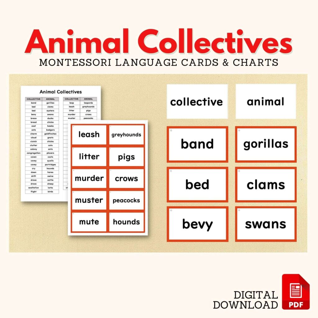 Animal Vocabulary Cards and Charts Montessori Word Study