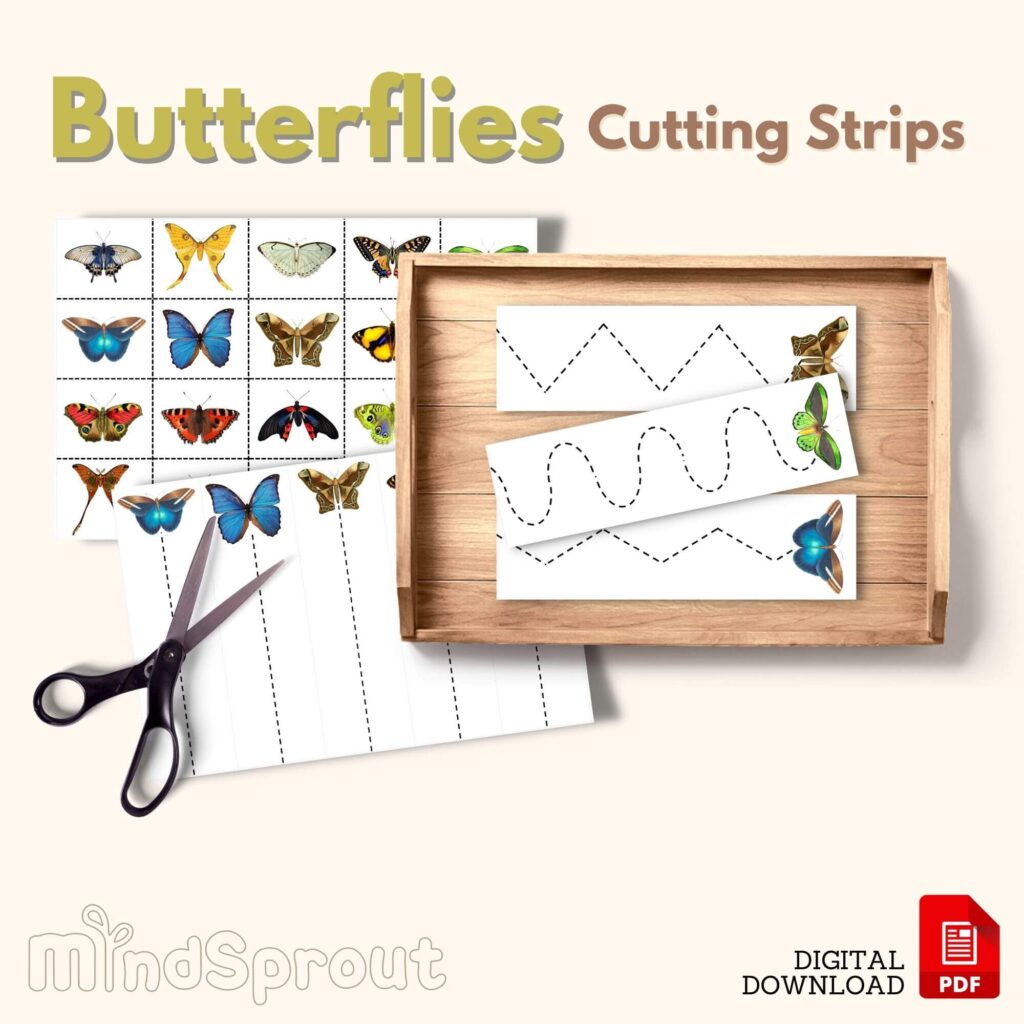 Butterfly Cutting Activity & Symmetry Puzzles