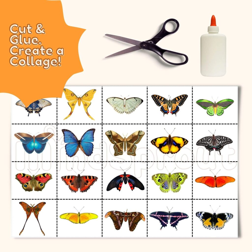 Butterfly Cutting Activity & Symmetry Puzzles