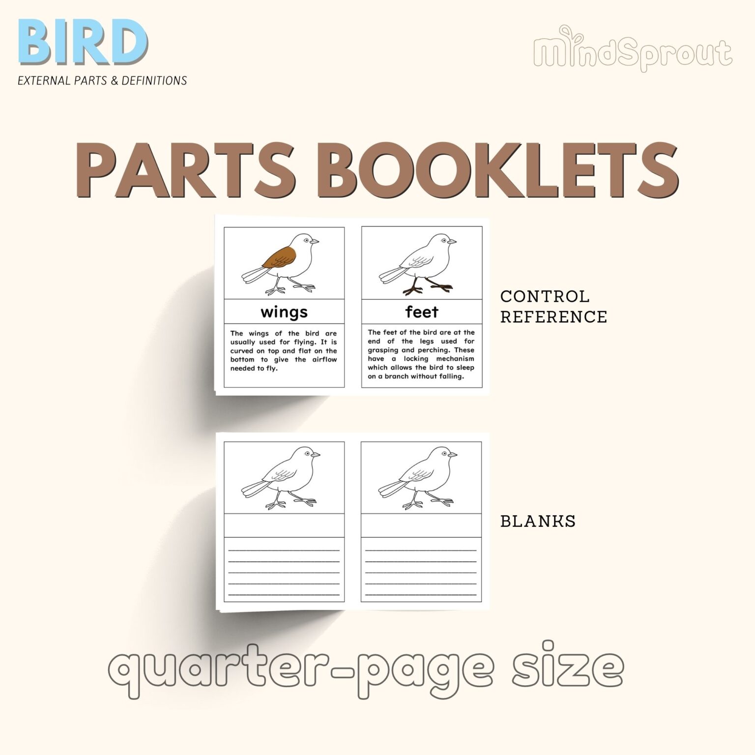 Montessori Materials for Parts of the Bird Activity