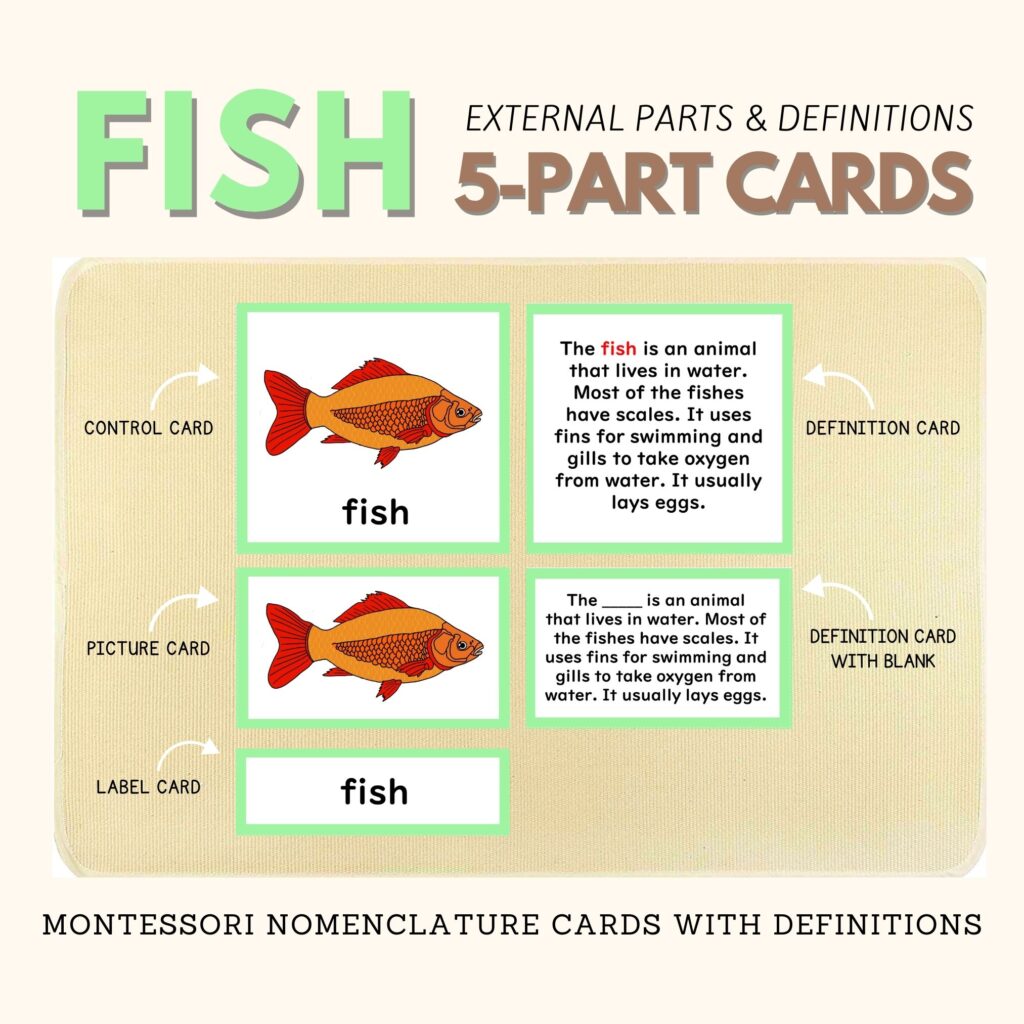 Parts of the Fish & Other Fishes Nomenclature
