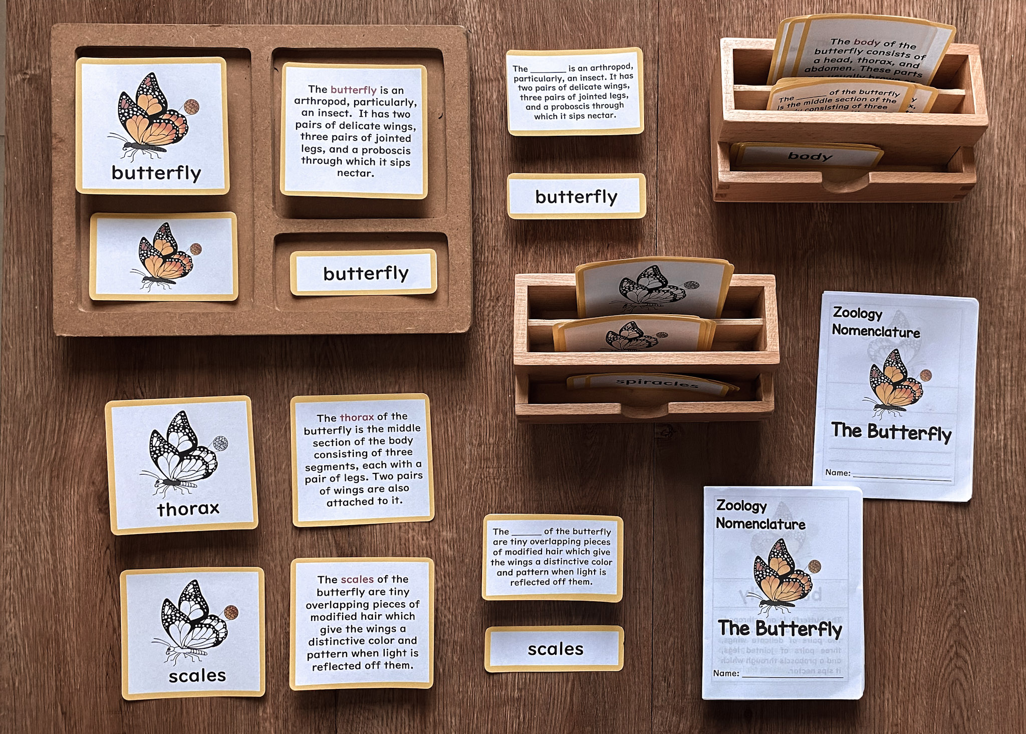 Montessori Materials for Parts of the Butterfly Activity