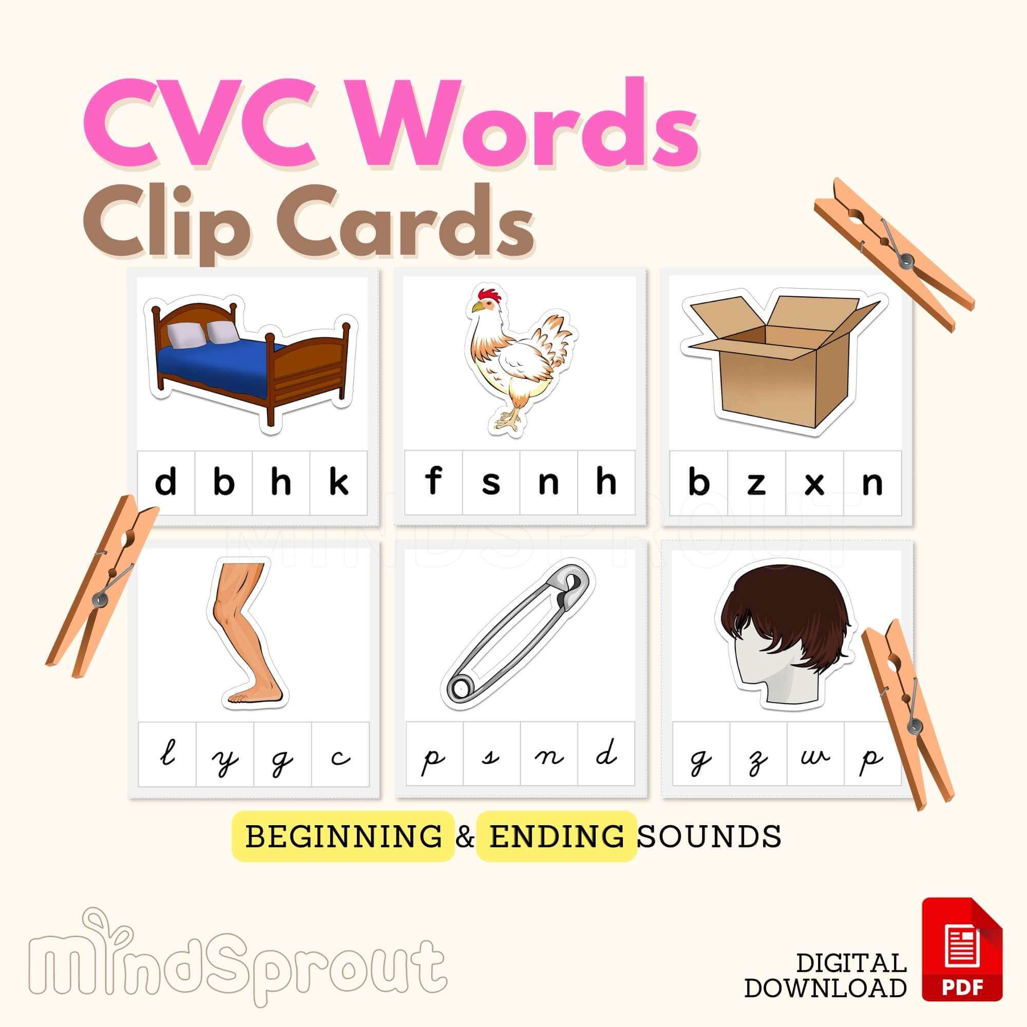 CVC Words Clip Cards