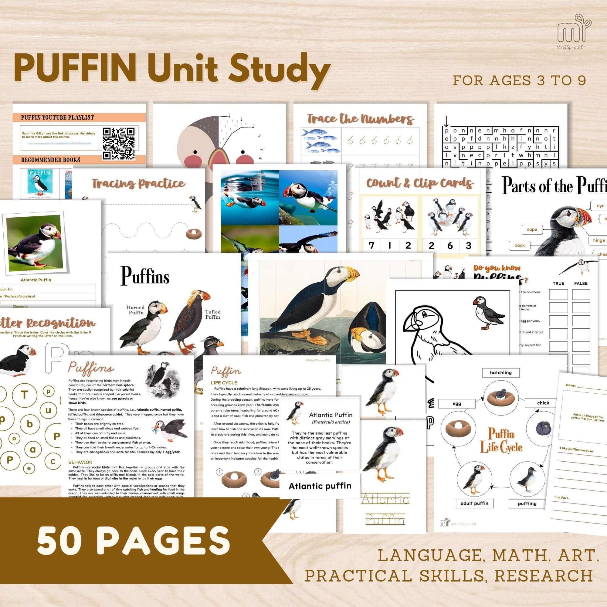 Puffin Unit Study for 3-9 years old