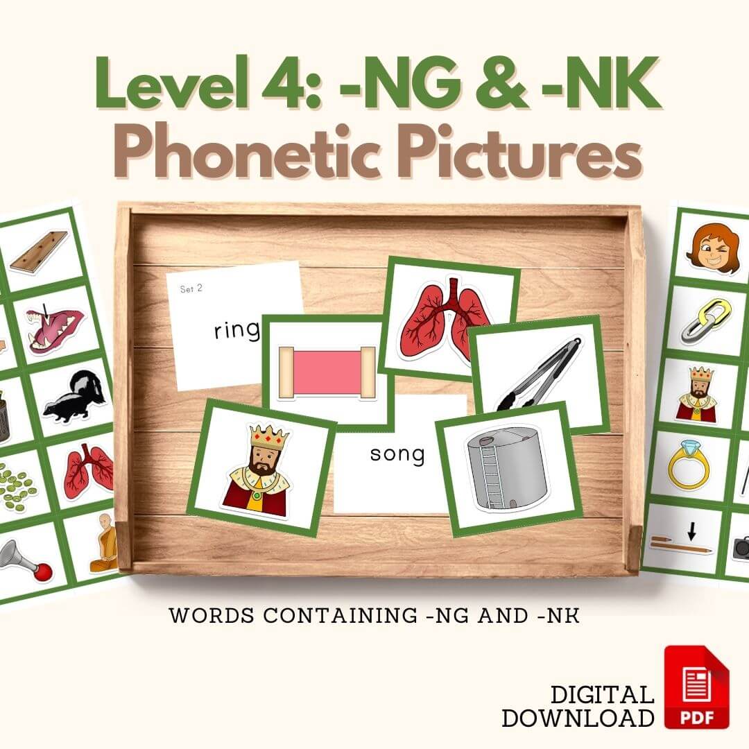 Stage 4: -NG & -NK Phonetic Reading Picture Cards