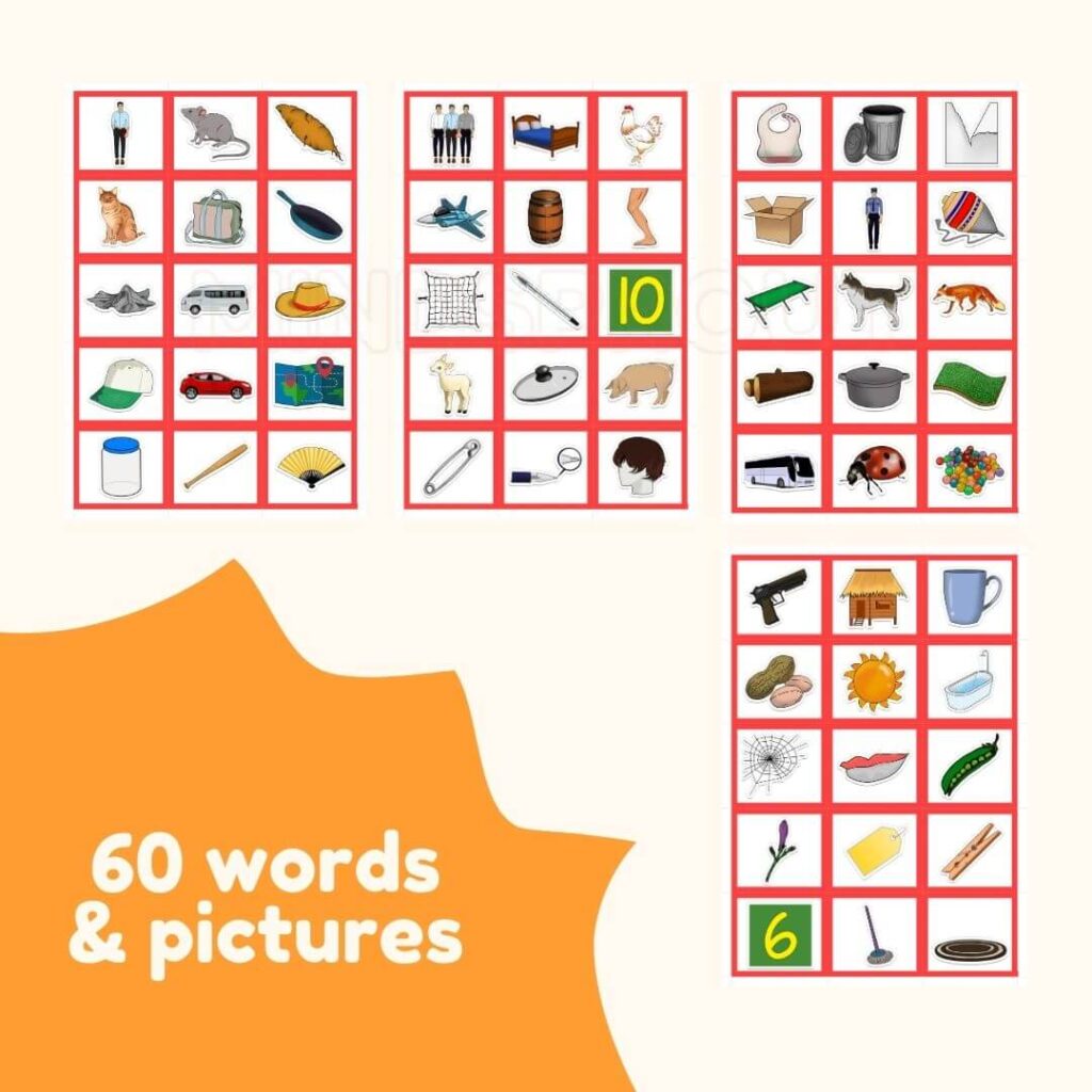 Stage 1: CVC Words Phonetic Reading Picture Cards