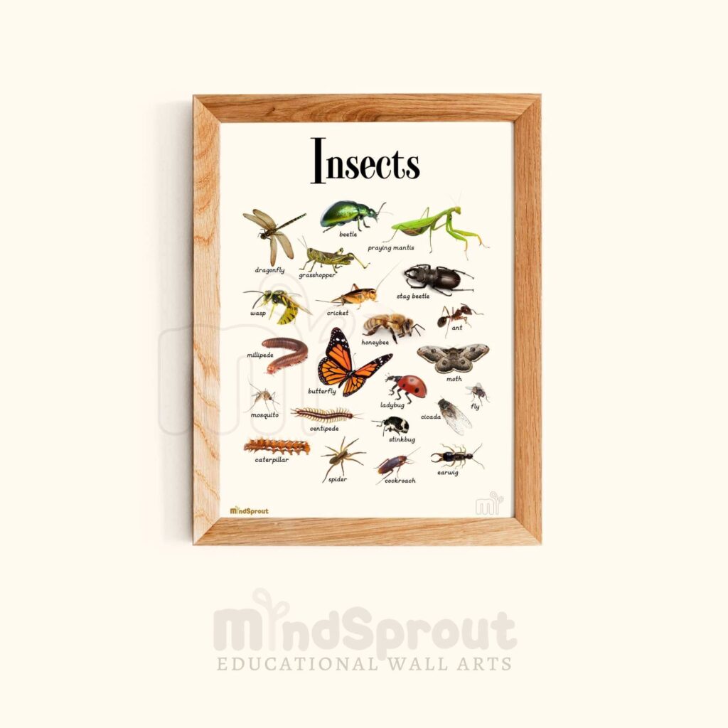 Insects Printable Poster