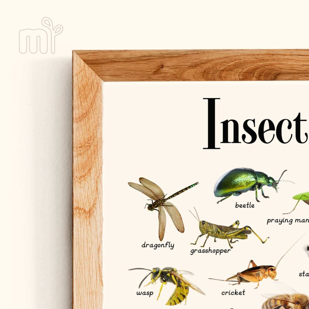 Insects Printable Poster
