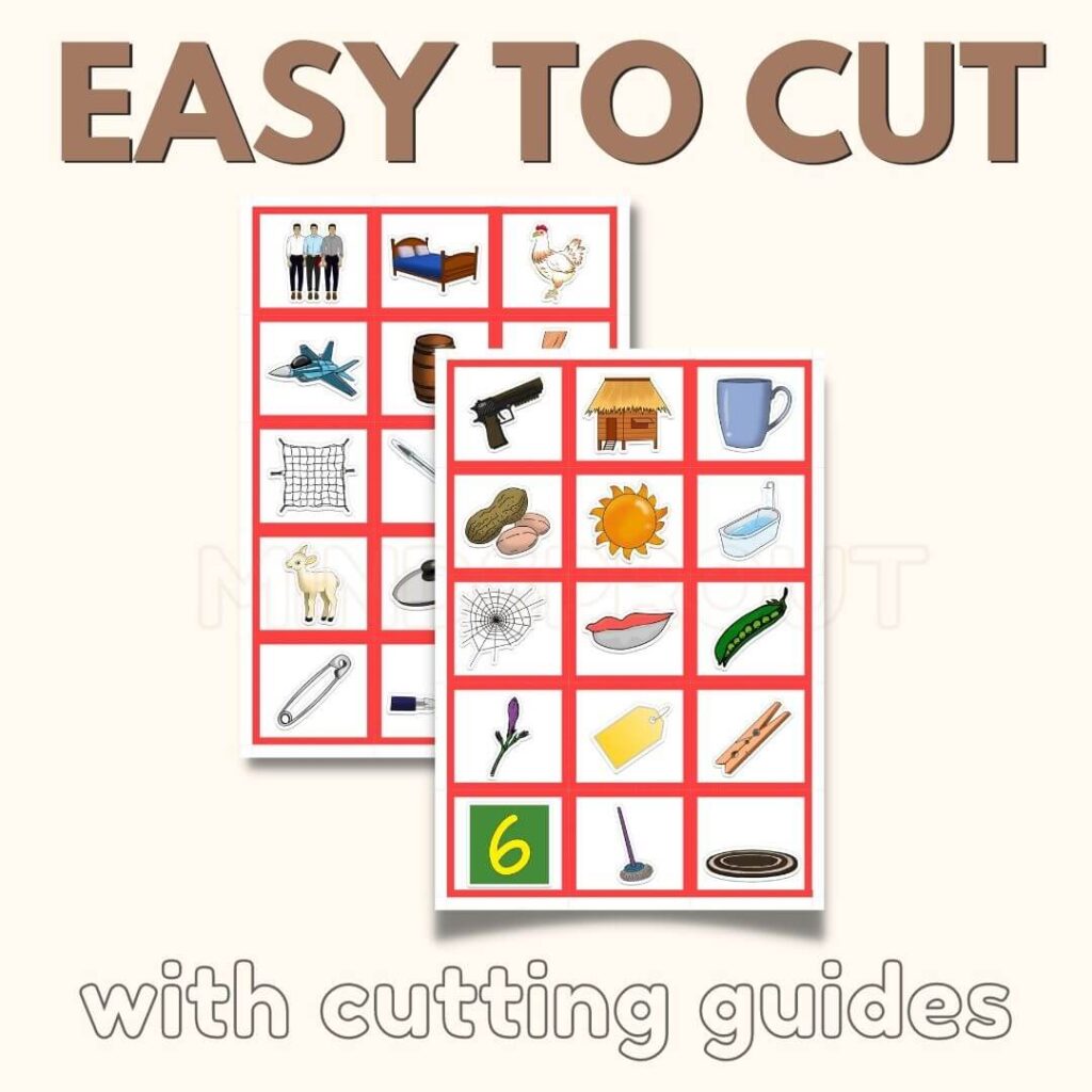 Stage 1: CVC Words Phonetic Reading Picture Cards