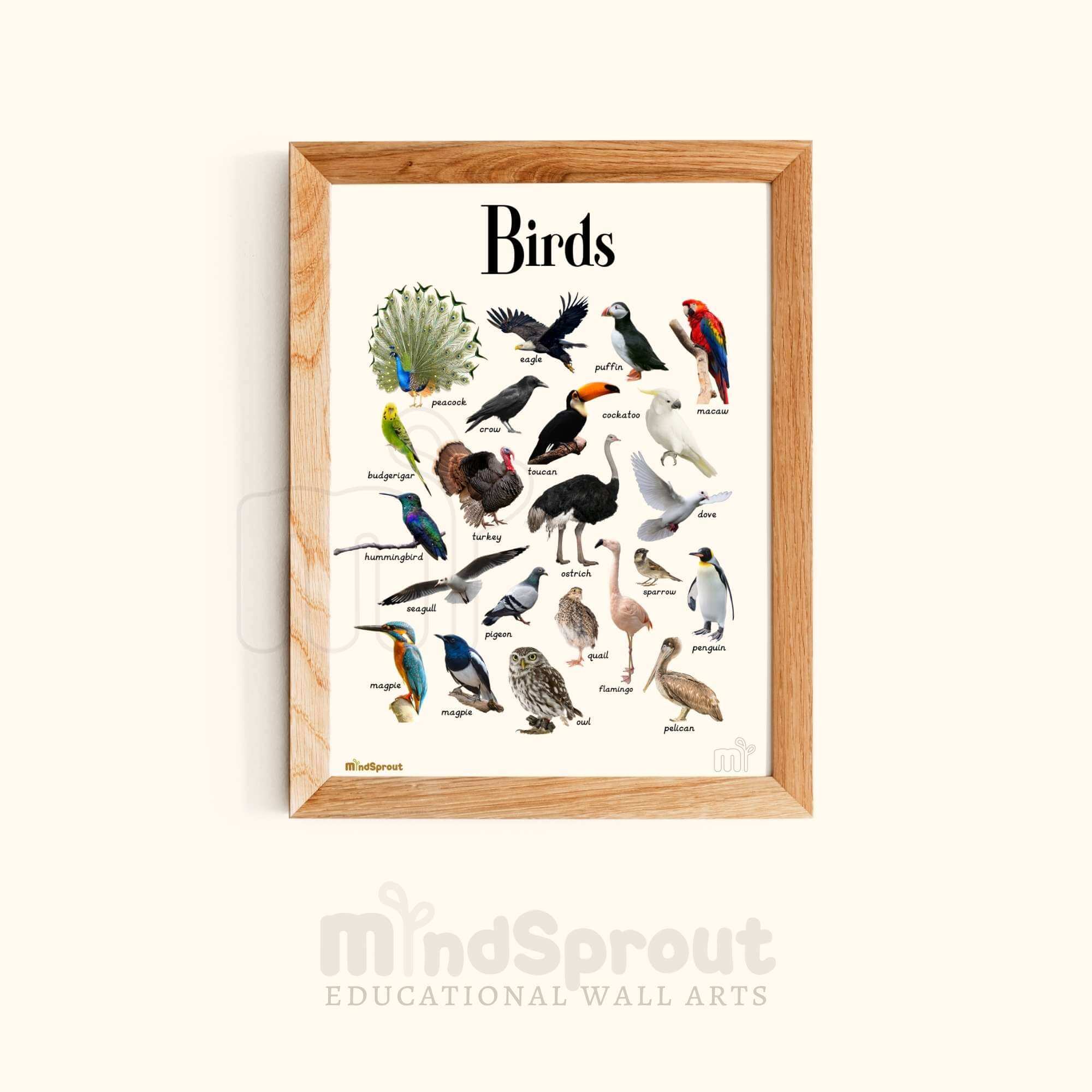 Birds Printable Poster