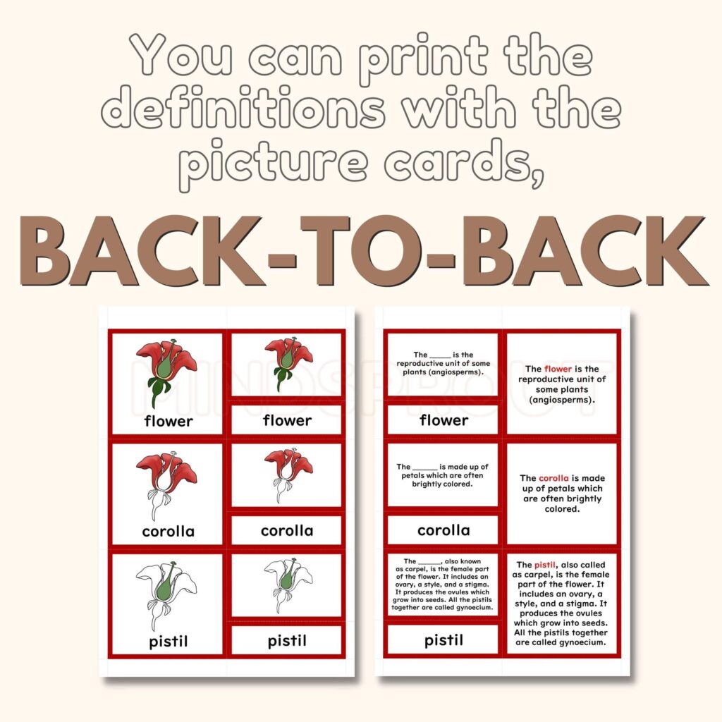 Parts of the Flower 5-Part Cards and Booklets
