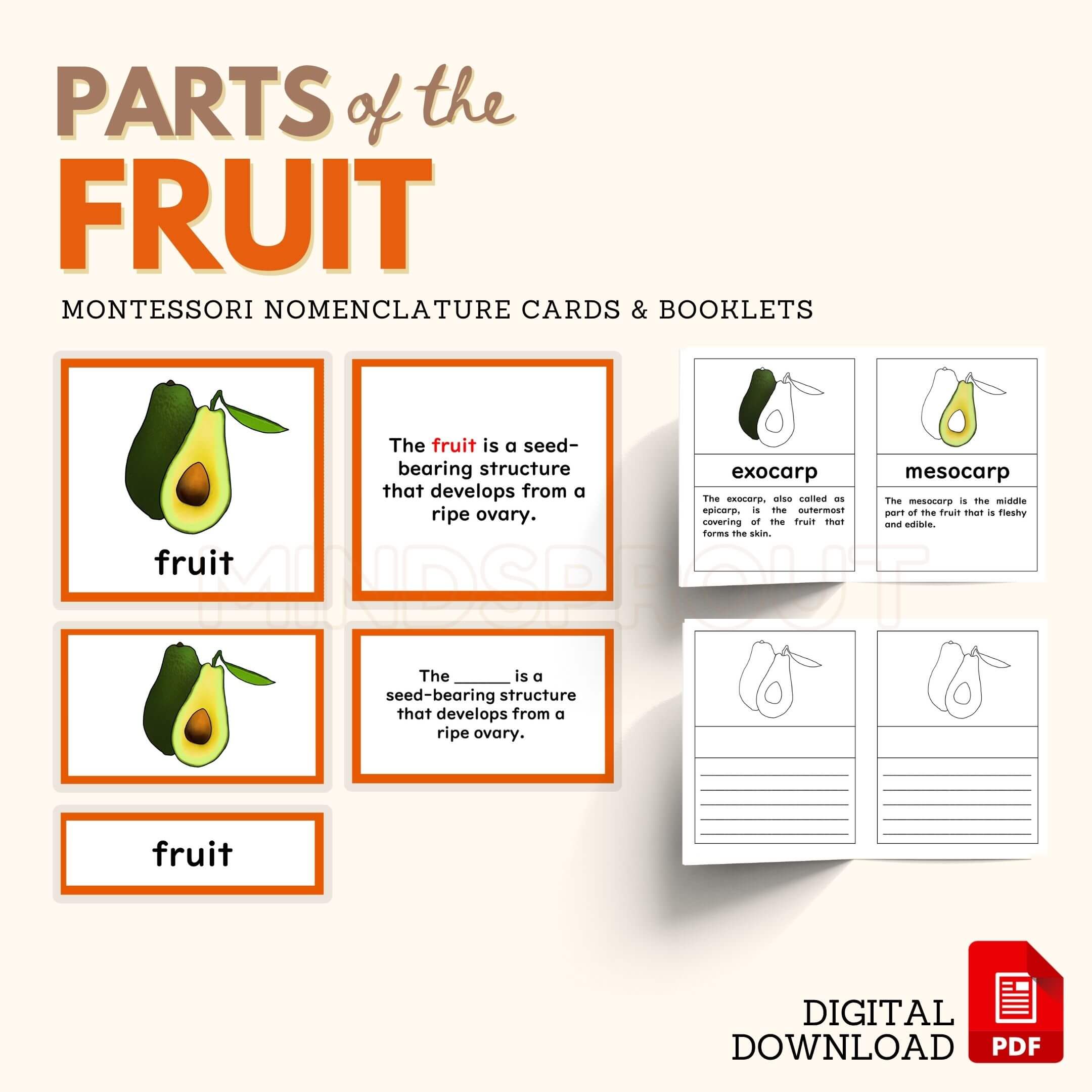 Parts of the Fruit 5-Part Cards & Booklets
