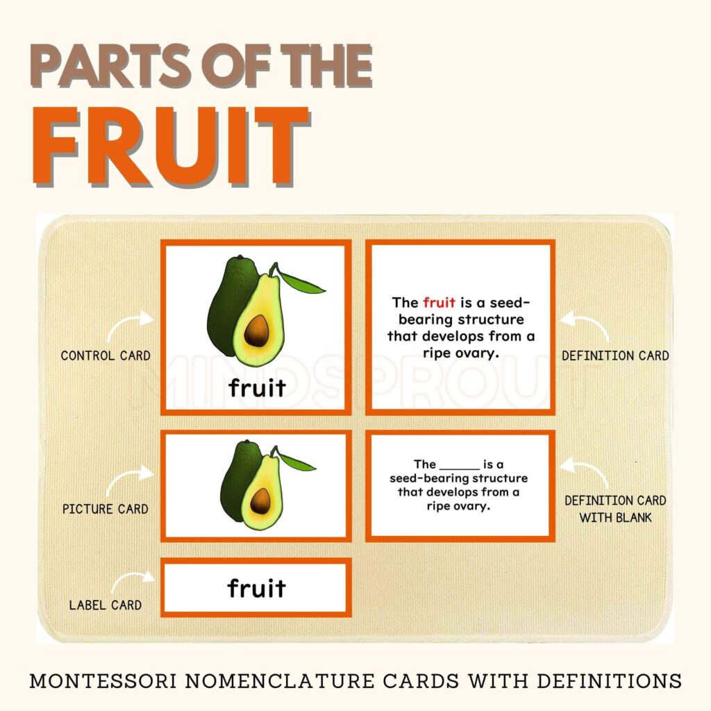 Parts of the Fruit 5-Part Cards & Booklets