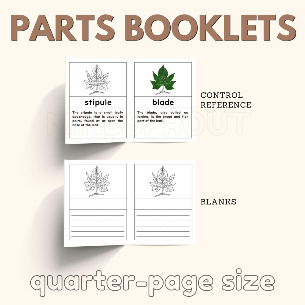 Parts of the Leaf 5-Part Cards & Booklets