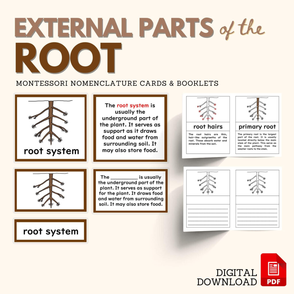 Parts of the Roots 5-Part Cards & Booklets