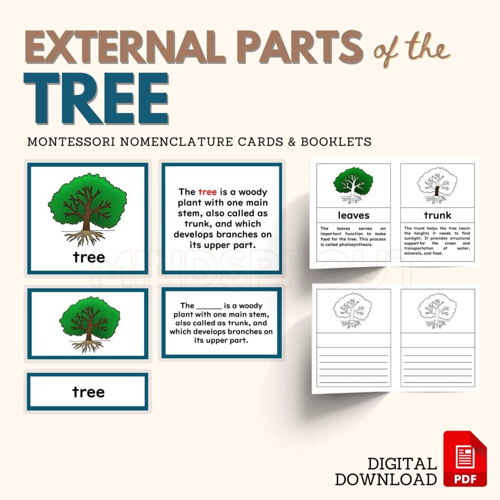 Parts of the Tree 5-Part Cards & Booklets