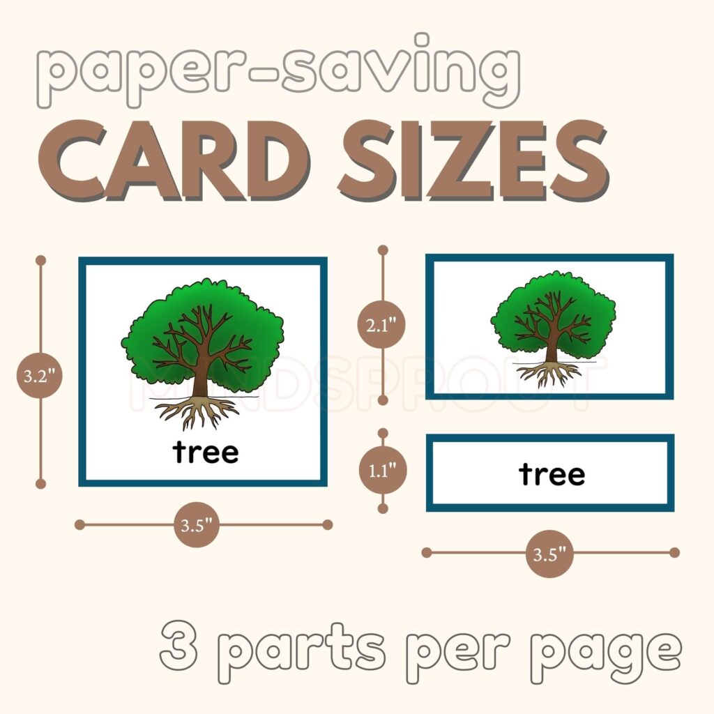 Parts of the Tree 5-Part Cards & Booklets
