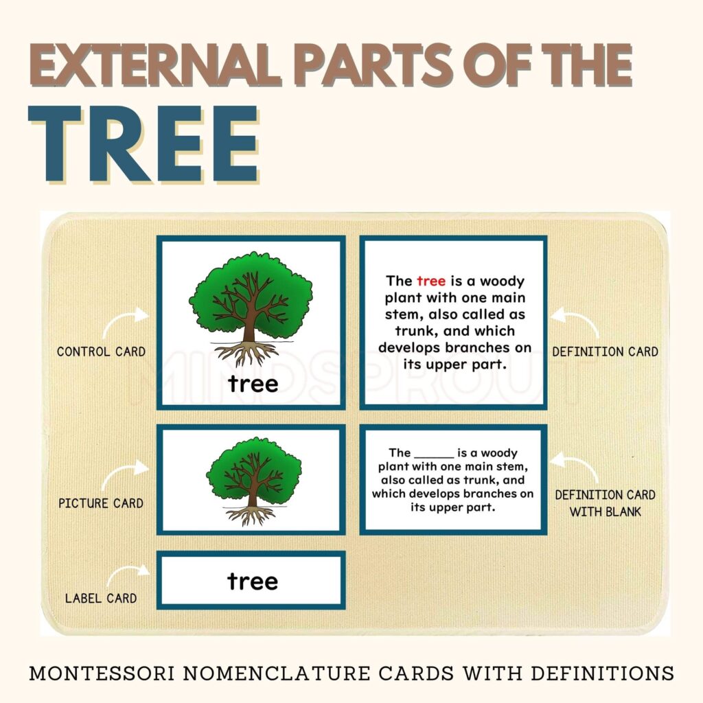 Parts of the Tree 5-Part Cards & Booklets