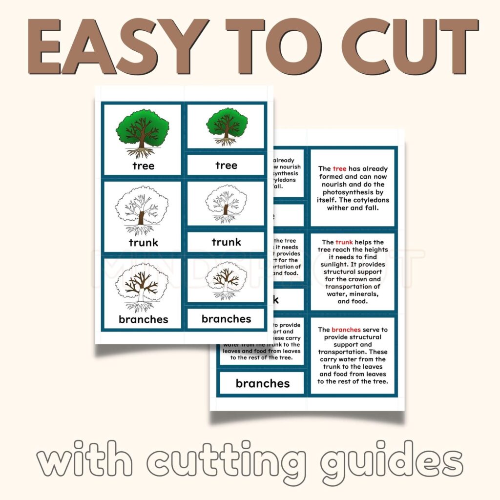 Parts of the Tree 5-Part Cards & Booklets