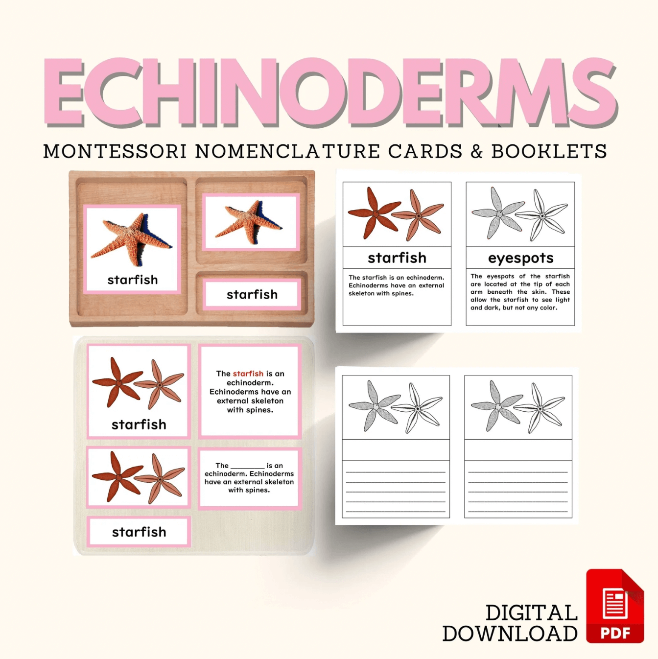 Parts of the Starfish and other Echinoderms Nomenclature