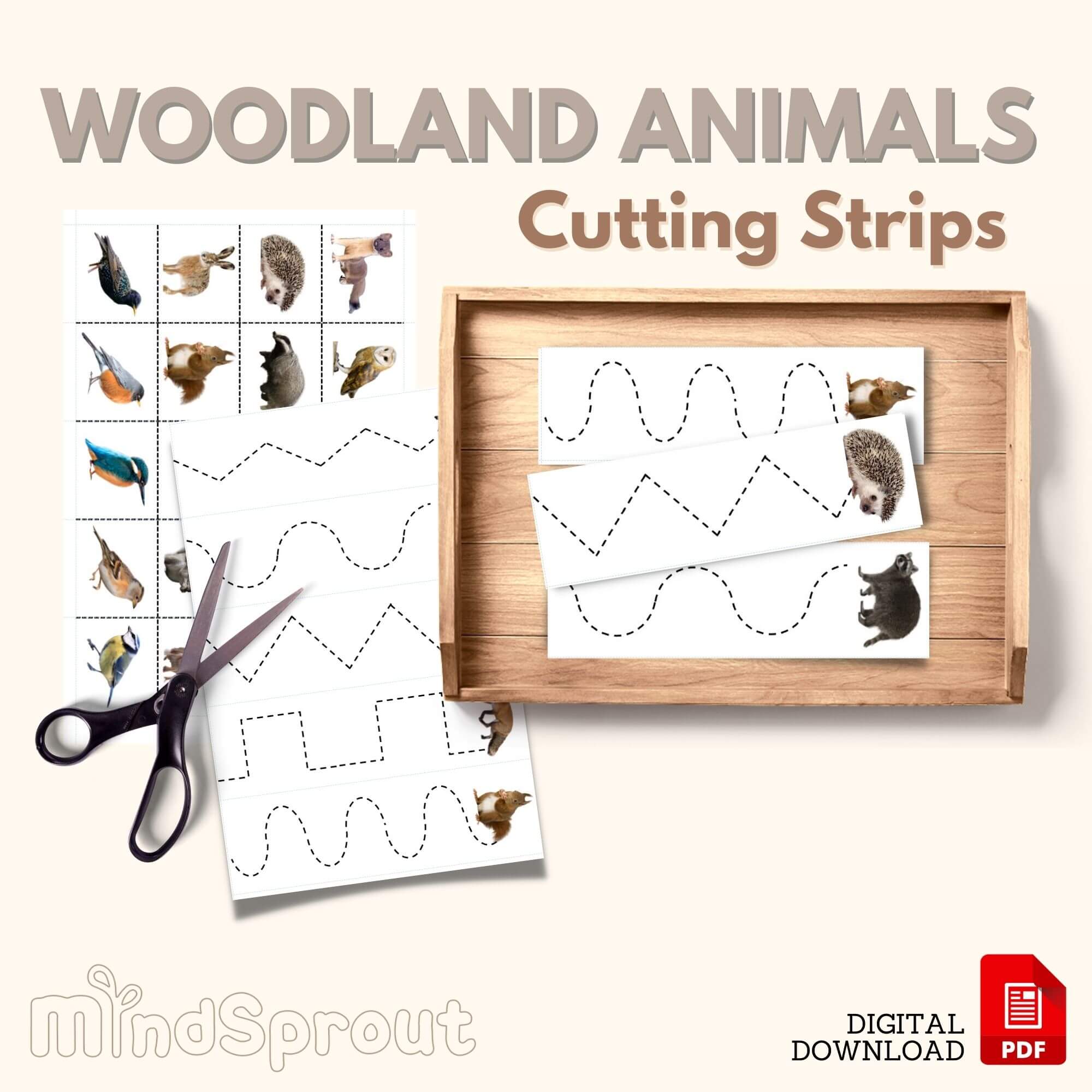 Woodland Animals Cutting Activity
