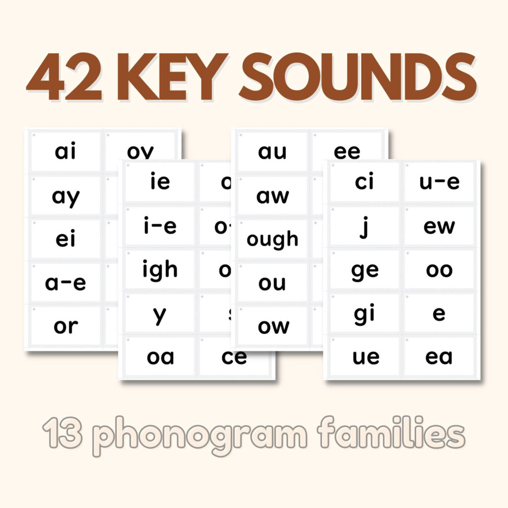 Phonogram Sorting Activity