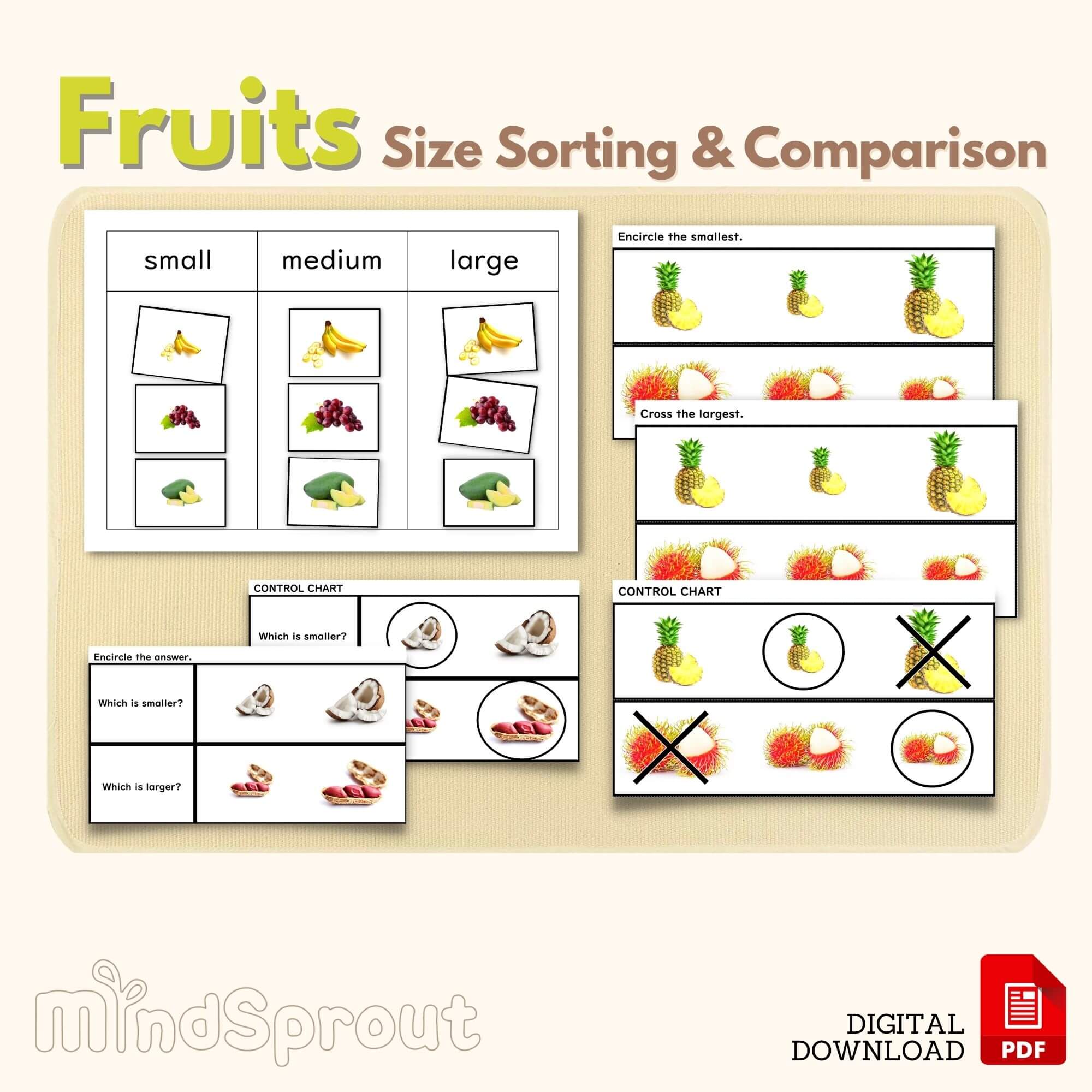 Size Sorting & Size Comparison Activity with Fruits
